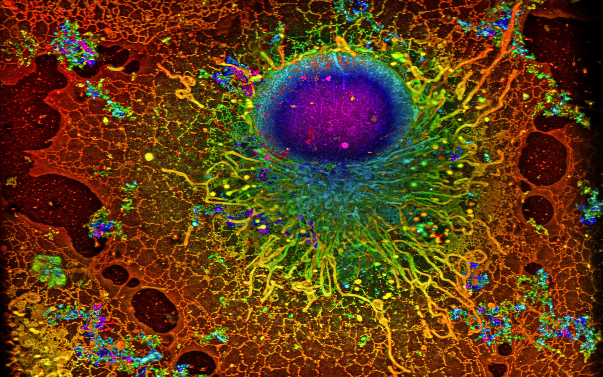 Machine Learning Improves Super resolution Microscopy MACHINE